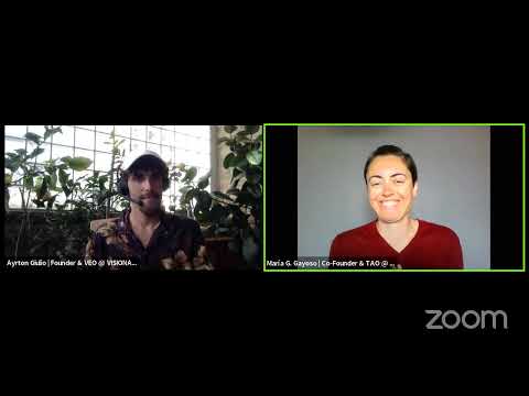 Who is a Visionary REALLY? (Are you a Visionary?)