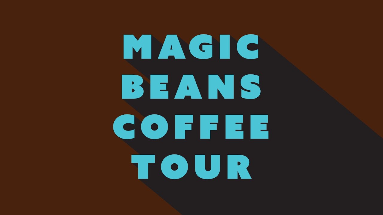 Magic Beans Coffee Roasters Virtual Tour