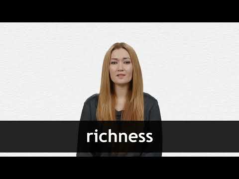 RICHNESS definition and meaning | Collins English Dictionary