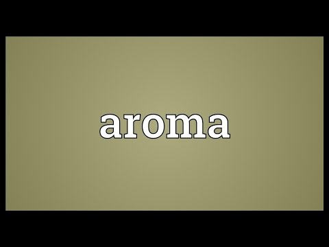 Aroma Meaning