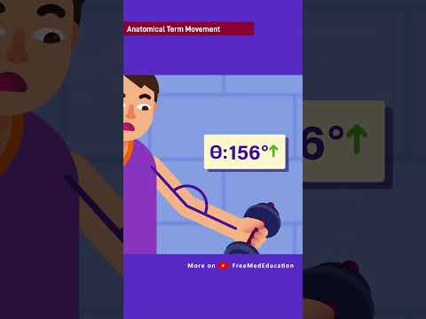 Anatomical Terms Explained Beautifully #shorts #generoustrailer
