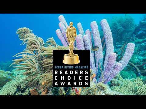 Buddy Dive Resort and Buddy Dive Bonaire: 2025 Readers Choice Awards