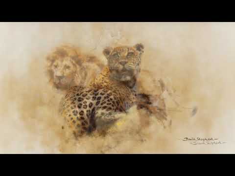 David Shepherd: The Power of Nature | Our 2021 Collection Unveiled