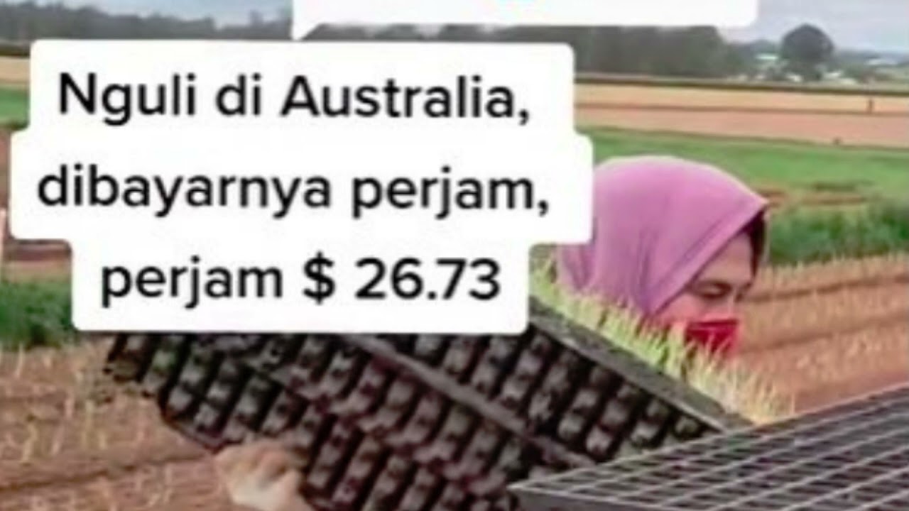 Wanita Asal RI Nguli di Australia, jadi Buruh Kasar Ternyata Gajinya Bikin Kaget