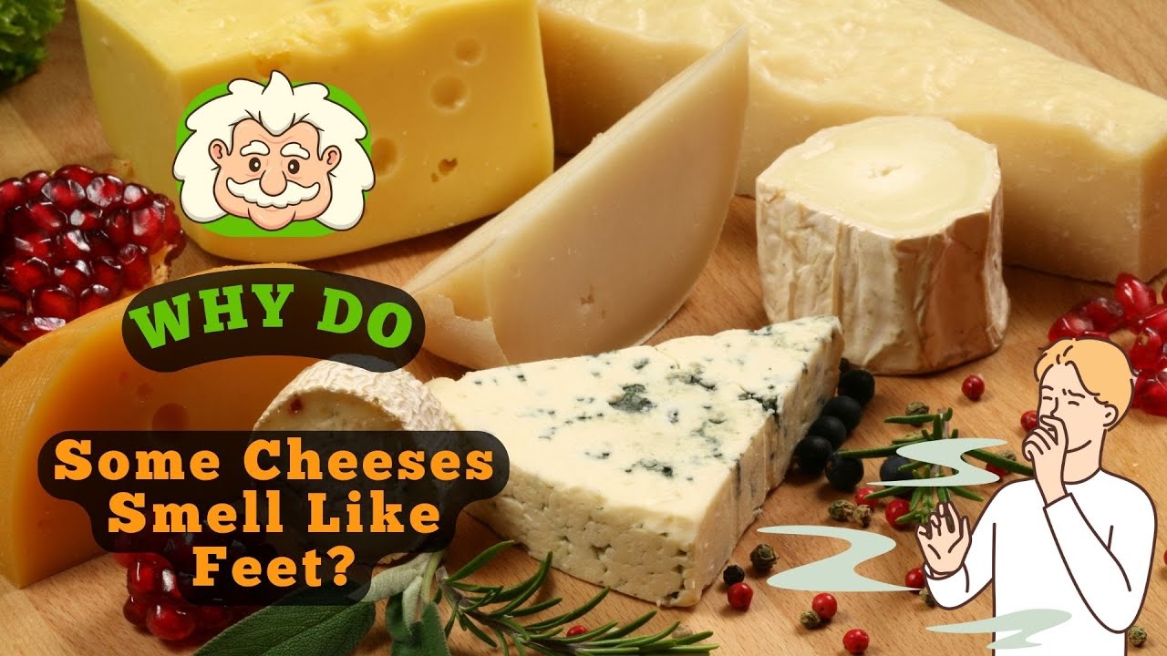 Why Do Some Cheeses Smell Like Feet? The Stinky Science Behind It