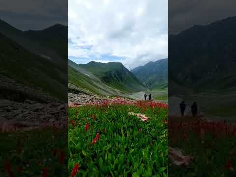 Quranic Whispers: Nature's Echoes of Divine Verse"#quran_kareem #religion #islam #islamic #natural