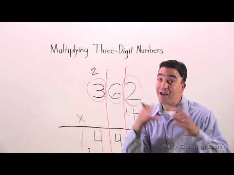 Multiplication: 3 Digit by 1 Digit / My Growing Brain