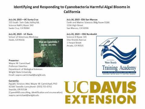 Identifying and Responding to Cyanobacteria Harmful Algal Blooms in California