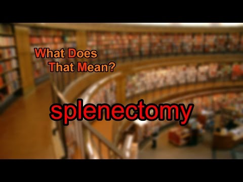 What does splenectomy mean?