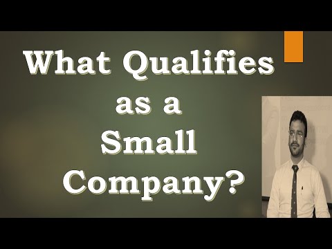 Meaning of Small Company