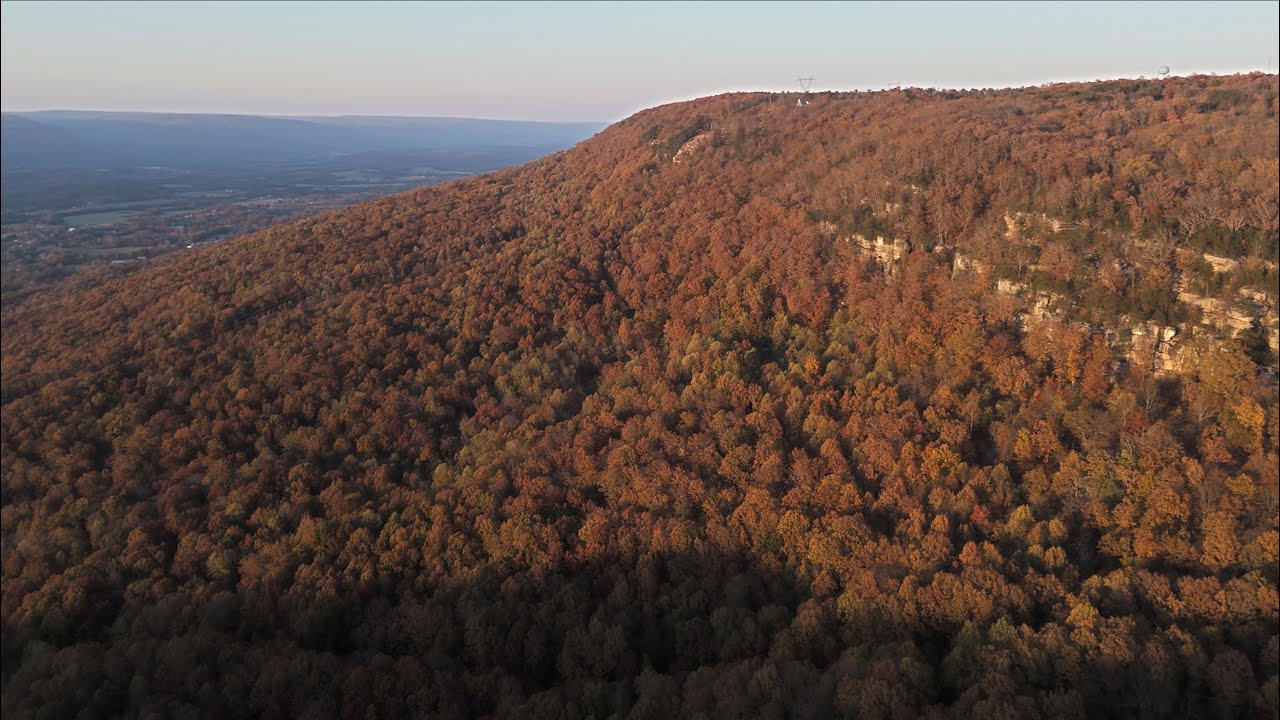 Rosewood Website video