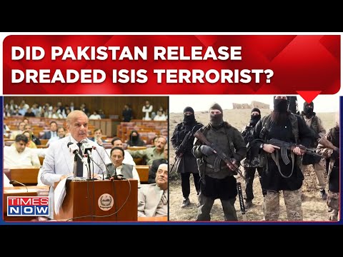 World News Live| Afghan Taliban's Shocking Reveal Amid Tensions | 'Pak Freed Dreaded ISIS Terrorist'
