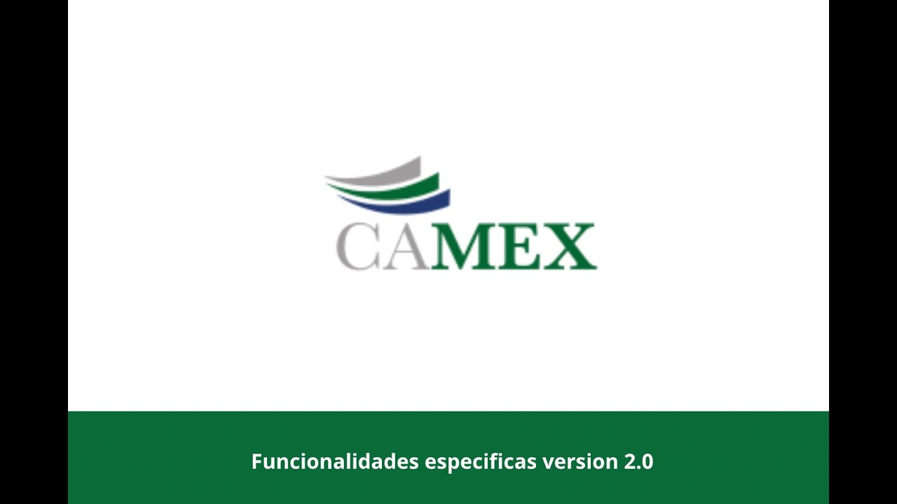 CAMEX Funcionalidades de chat version 2 0