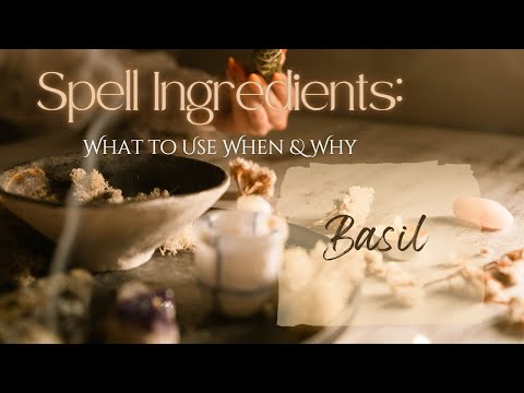 Basil || Spell Ingredients || Episode 1