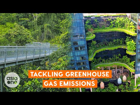 Reducing greenhouse gas emissions with greenery | TLDR