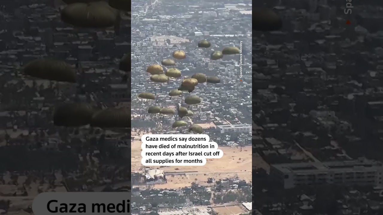 France, Spain, UAE airdrop humanitarian aid to Gaza