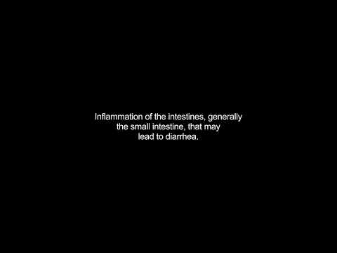 enteritis video Dictionary meaning and pronunciation