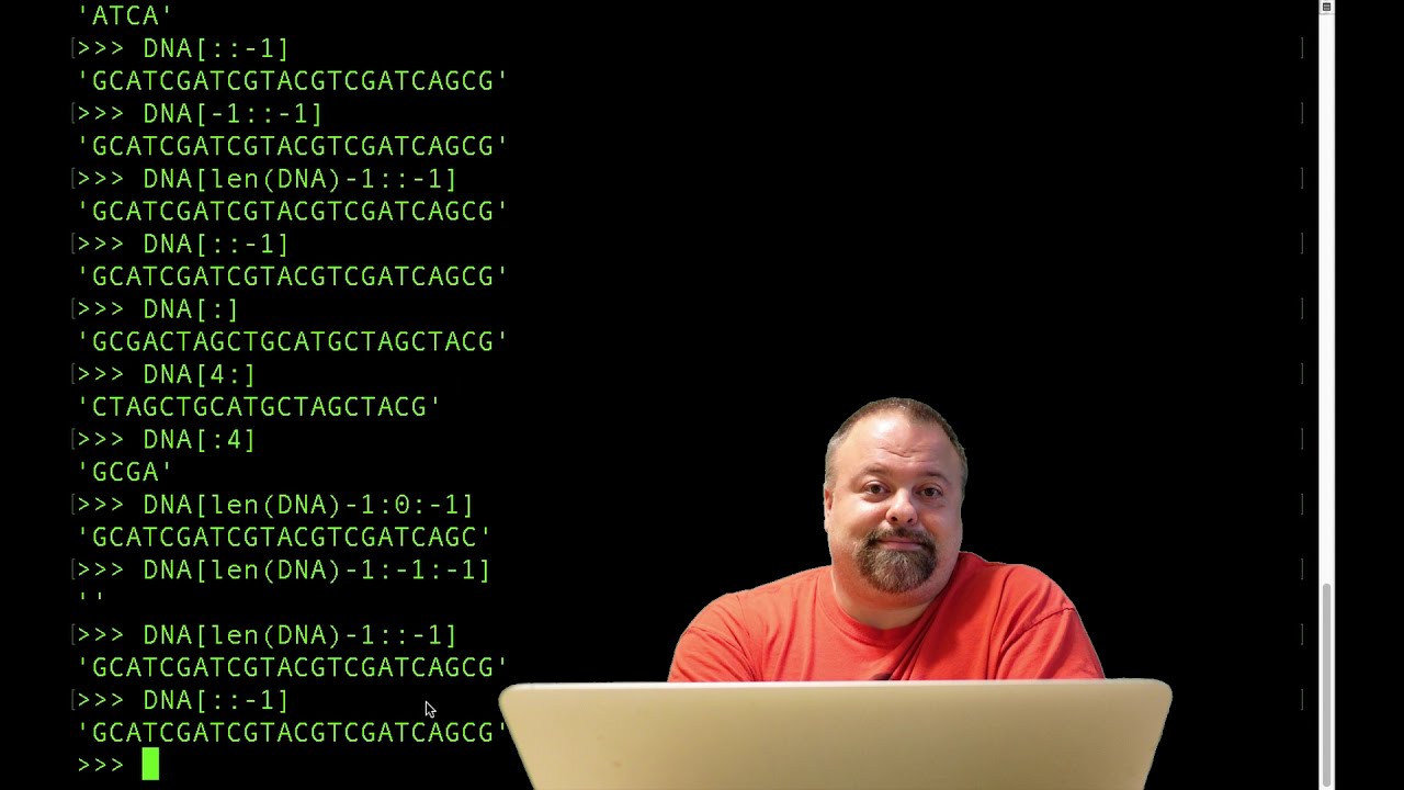 Introducing Python Strings and Subsequences