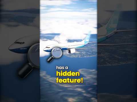Boeing 737 MAX Feature You Didn't Know About!