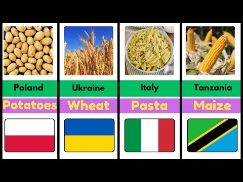 Staple food of different countries |