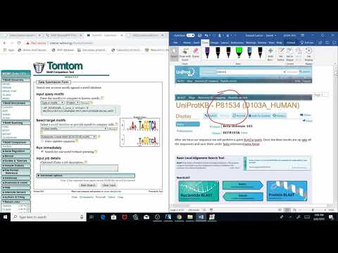 Tutorial 5