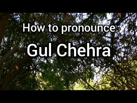 How to Pronounce Gul Chehra