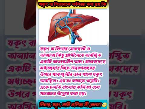 লিভার বা যকৃৎ থেকে কলিজা বলা হয় কি?🙄#shorts #viral #লিভার