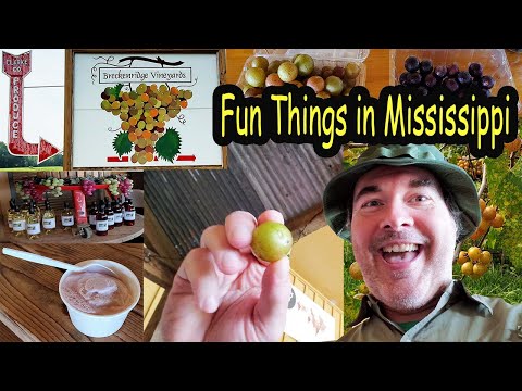 Fun Things in Mississippi: Great Mississippi Food at Breckenridge Farms Muscadine Vineyards