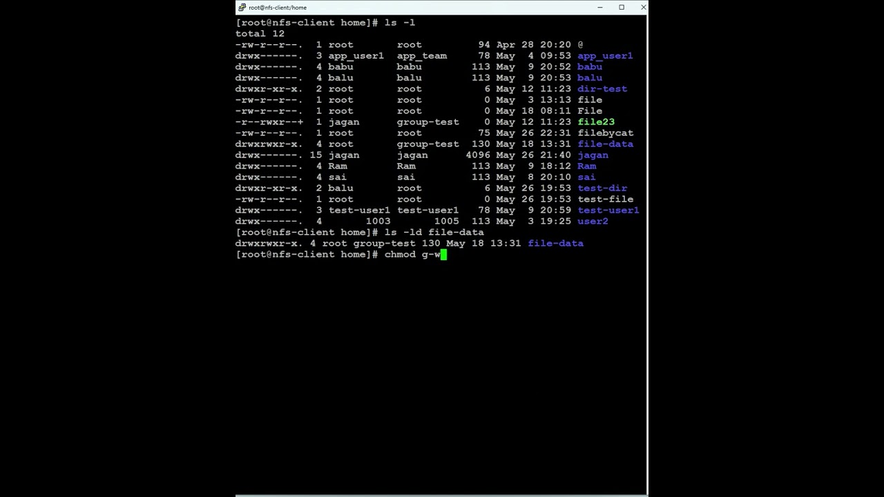 Red Hat Linux - chmod command - How to revoke Read, Write, and execute permissions to groups