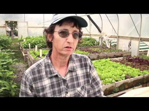 Living Farm Paonia Film Fest Final.mov