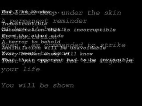 DISTURBED-INDESTRUCTIBLE w/lyrics