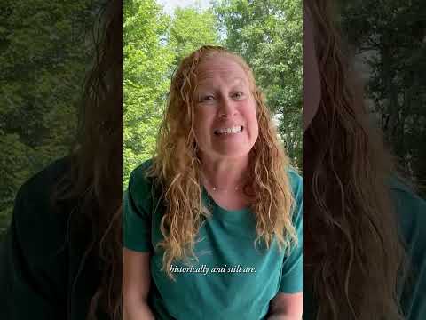 Jodi Picoult Challenges History: Could Shakespeare's Plays Be Written by a Woman?