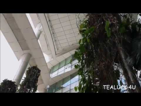 Singapore National Library