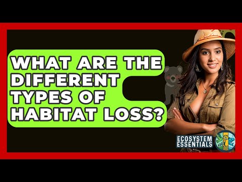 What Are the Different Types of Habitat Loss? - Ecosystem Essentials