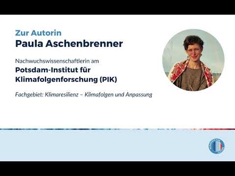Paula Aschenbrenner – Kippelemente (S4F Spotlight)
