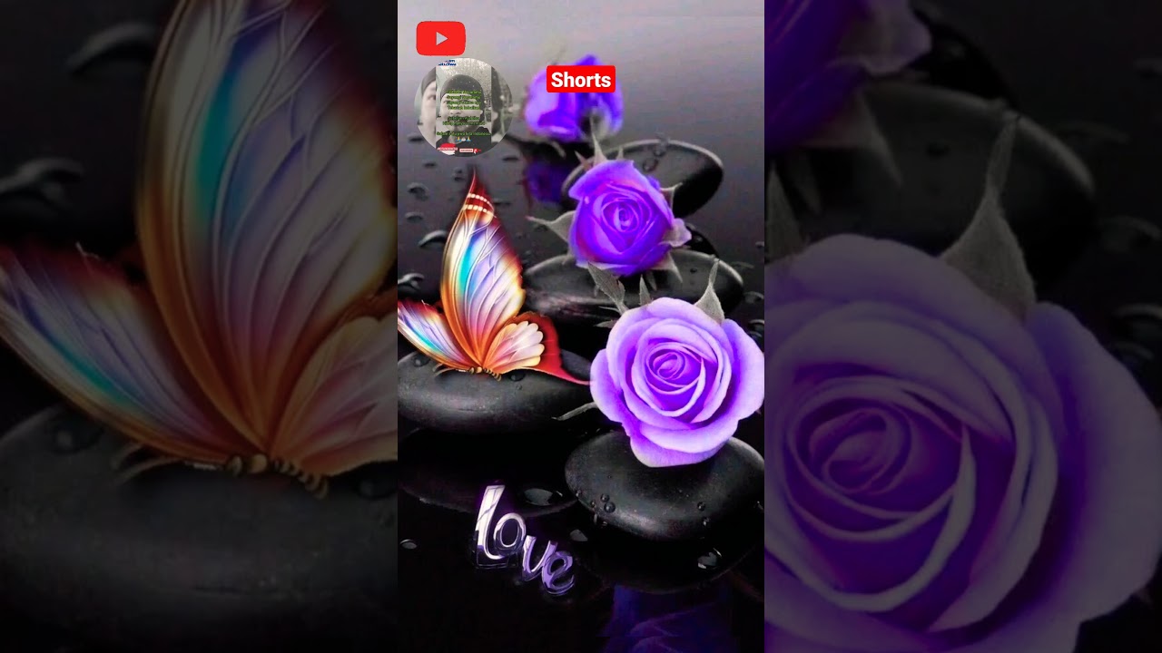 UCAPAN SELAMAT PAGI MENYENTUH HATI || GOOD MORNING