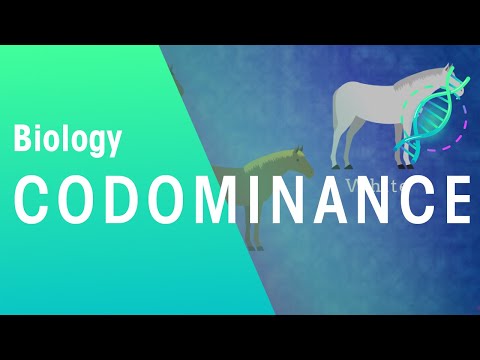 Codominance | Genetics | Biology | FuseSchool
