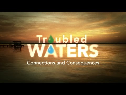 Troubled Waters: Connections and Consequences