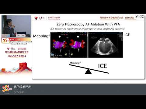 Zero Fluoroscopy AF Ablation Revisited: PFA