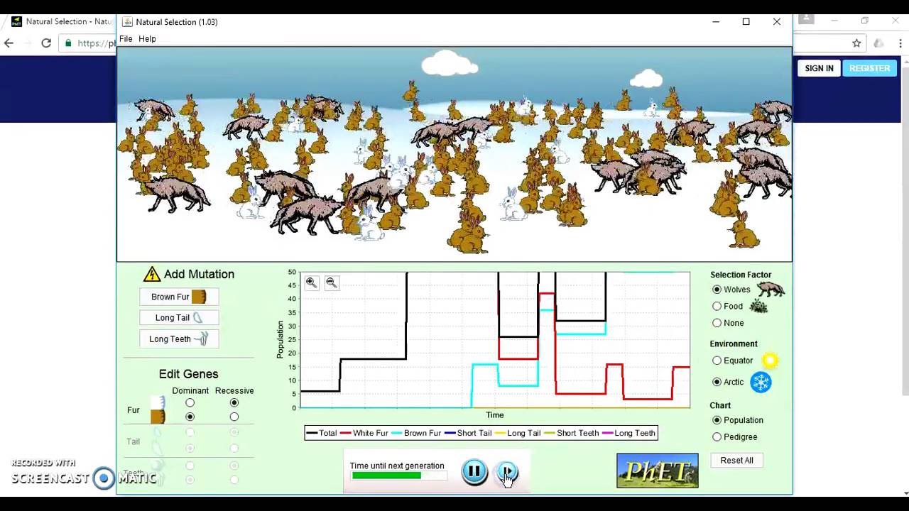 PhET interactive simulations through natural selection
