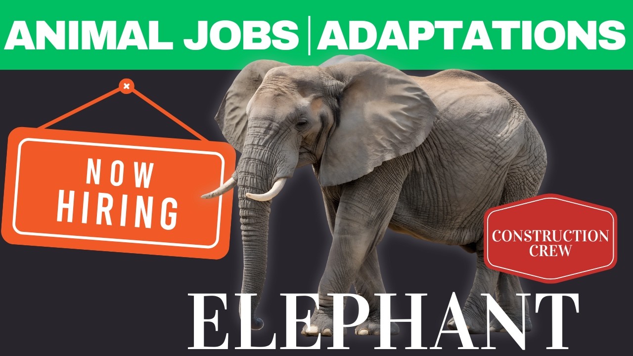 How Elephants Build Like Construction Workers 🐘 | Animal Adaptations for Kids