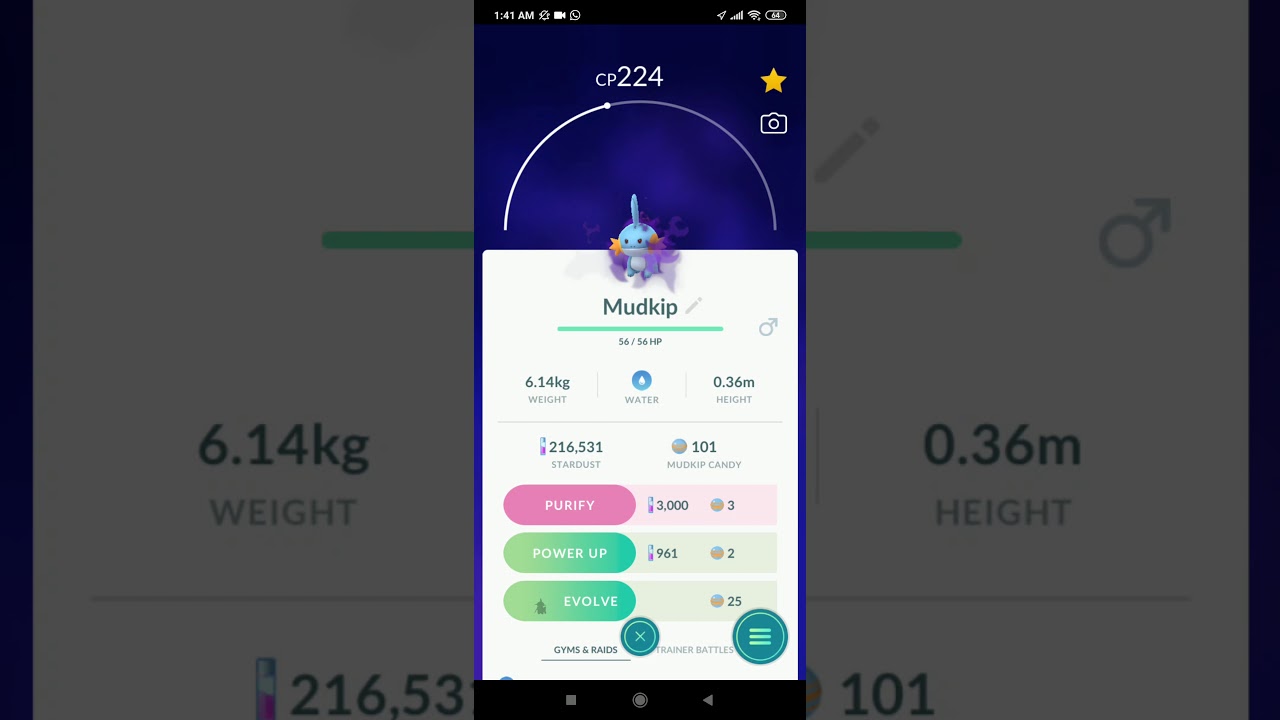 Purification of Shadow Mudkip in Pokemon go