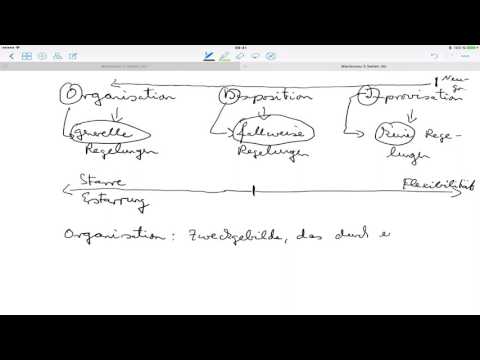 Organisation, Disposition, Improvisation, Definition und Auswirkungen