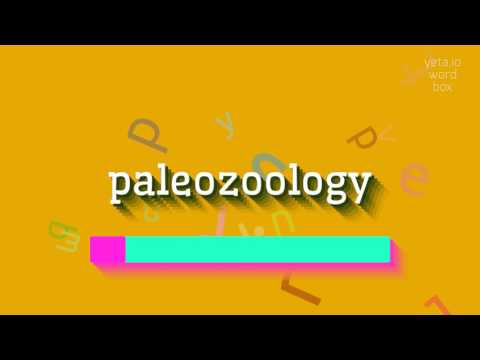 HOW TO PRONOUNCE PALEOZOOLOGY?