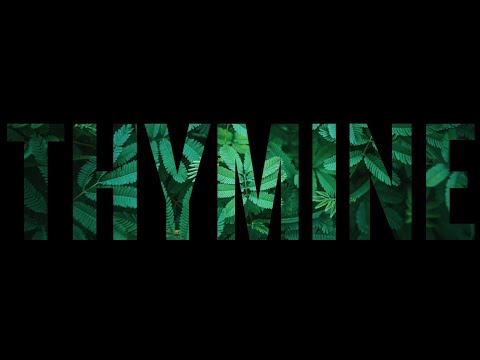 WHAT IS : THYMINE