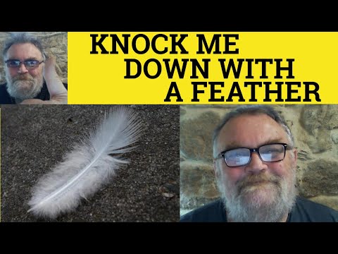 π΅ Knock Me Down With a Feather Meaning - Define You Could Have Knocked Me Down With a Feather Idioms