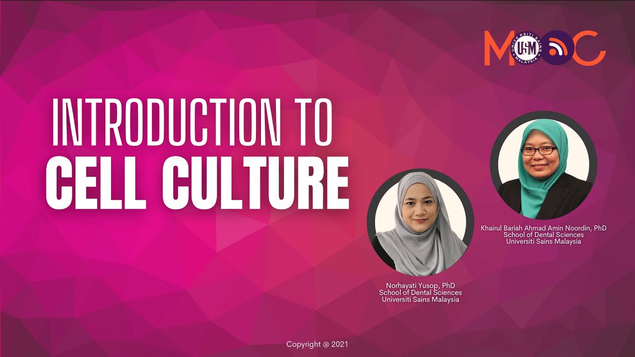 Introduction to Cell Culture | USM MOOC