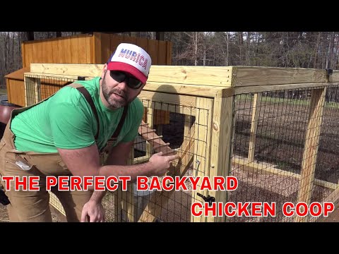 Build the perfect back yard chicken coop..fun project idea!! Easy to clean!!