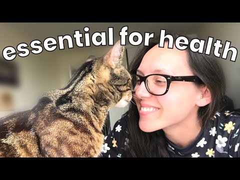Which vitamins do cats need?