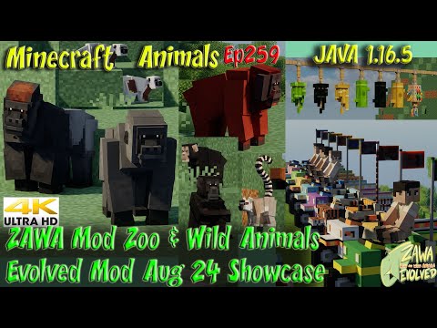 ZAWA Mod Zoo and Wild Animals Evolved Mod Showcase Aug24 Update JAVA 1.16.5 Minecraft Animals Ep259